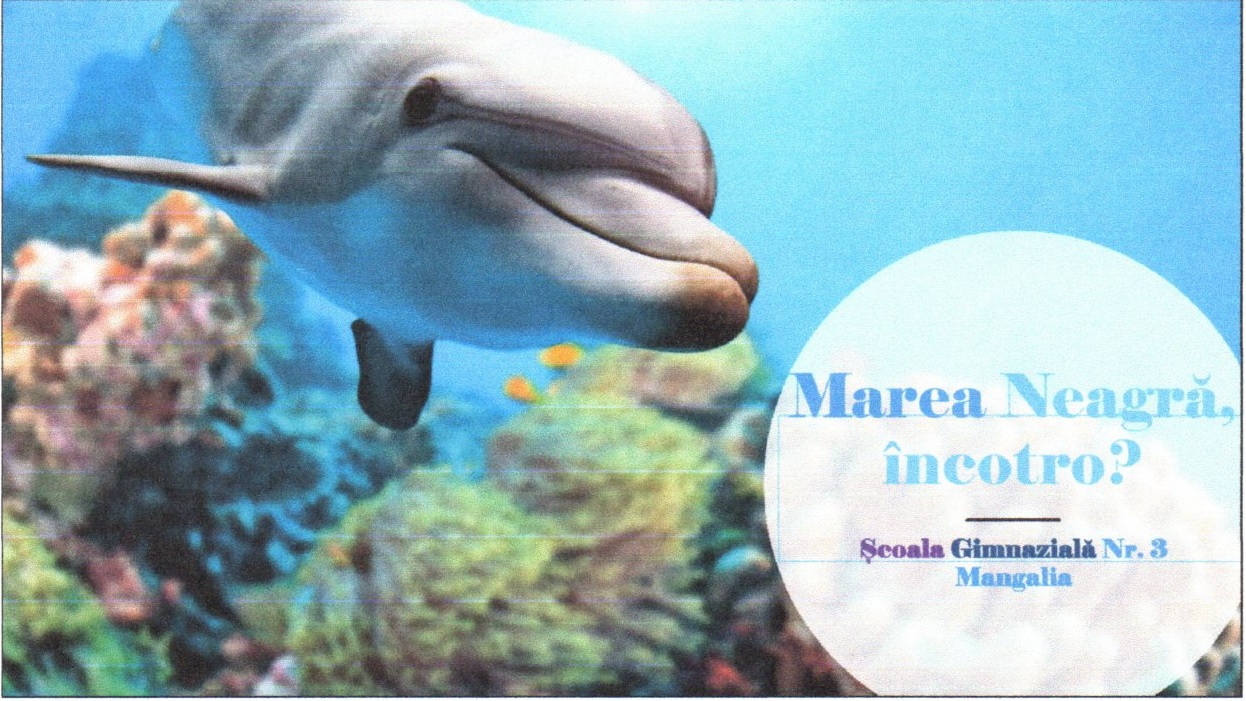 Proiectul Marea Neagră încotro? – Școala Gimnazială Nr 3 Mangalia
